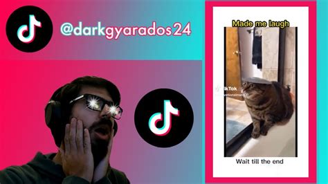 Reagisco Al Mio TIKTOK YouTube