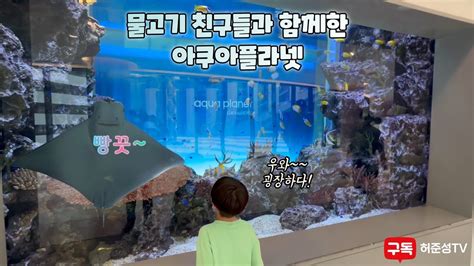 아쿠아플라넷 1부 다양한 물고기 친구들이 살고 있는 아쿠아플라넷 광교 Youtube