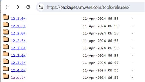 VMWare WorkStation Pro V17 VMWare Tools Installation MS