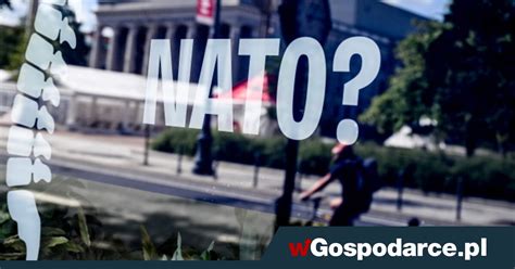Ukraina w NATO Niemcy są za a nawet przeciw wGospodarce pl