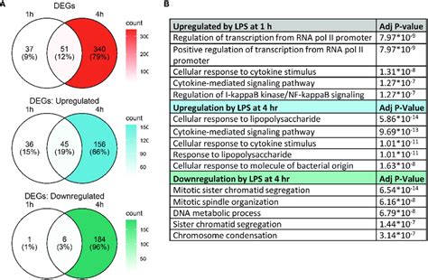 Gene Expression Changes Induced By Lps In Flms At And H A