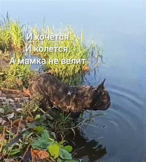 Осенний камуфляж!!! - YouTube