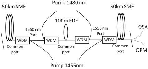 Schematic Diagram Of Experimental Setup Osa Optical Spectrum Download Scientific Diagram