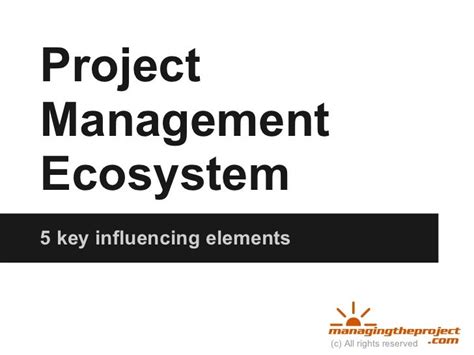 Project Management Ecosystem 5 Key Influencing Elements
