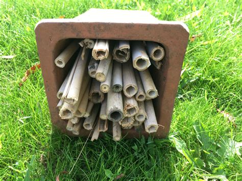 Make A Bug Hotel Red Kite Days