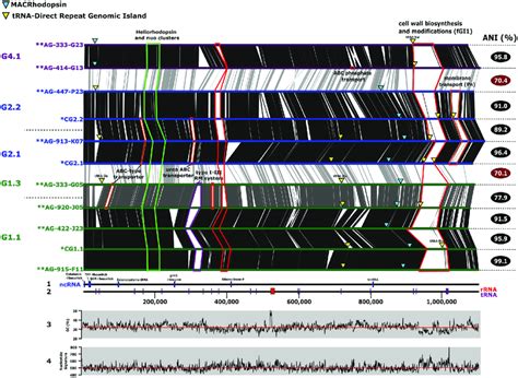 Whole Genome Alignment Of The Most Complete And Composite Genomes Of