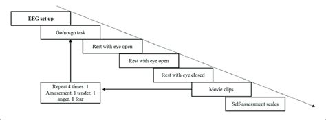 The Timing Diagram Of The Experiment Download Scientific Diagram