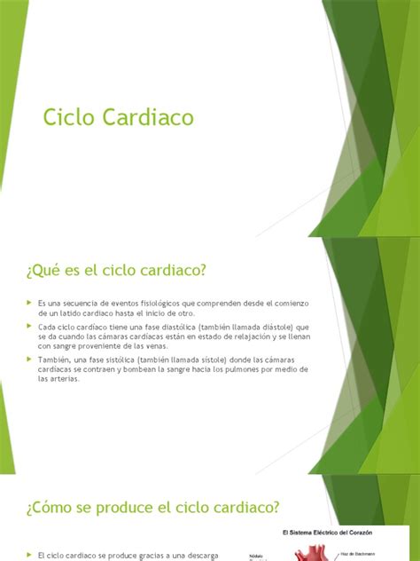 Ciclo Cardiaco Pdf Ventrículo Corazón Corazón