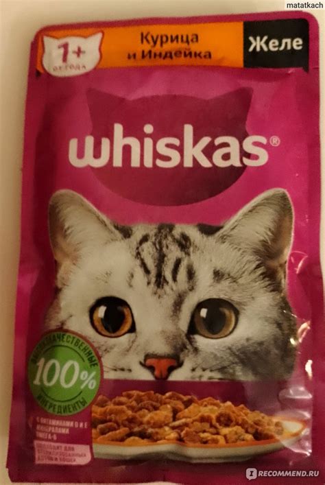 Влажный корм для кошек Whiskas Курица и индейка желе «Ваши киски
