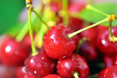 Les 8 Bienfaits Du Jus De Cerise Bonheur Et Santé