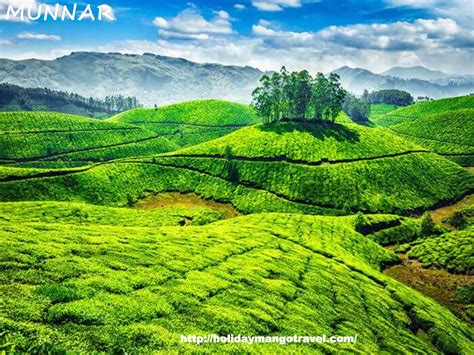 Top 10 Mesmerizing Honeymoon Destinations Of Kerala Ppt