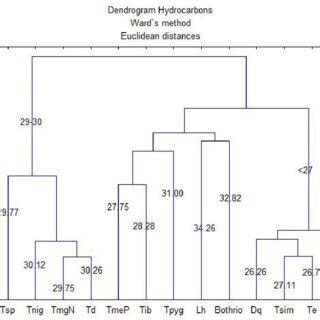 Dendrogram With Euclidean Distances And Ward Method On For Tib T