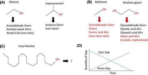 Metabolism Of Alcohols Present Ag Anion Gap Osm Serum Osmolal Download Scientific
