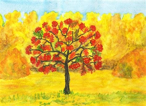 Рябина рисунок цветными карандашами и красками для детей