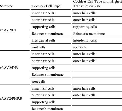 Transduction Patterns Of Aav Serotypes Dj Dj8 And Phpb In The Inner