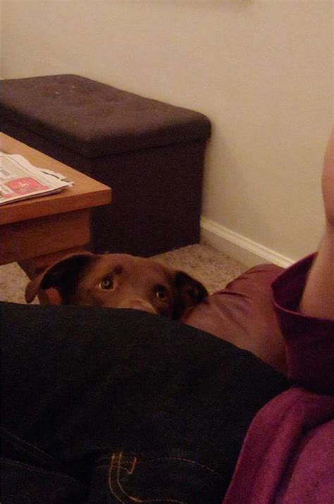 My Friend Caught Barney Looking At Me While I Was Talking My Heart R Eyebleach