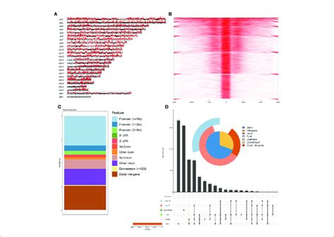 Identification Of Accessible Chromatin In Stads Using Atac Seq