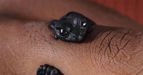 I Design A Blackened Brass Knob Tail Gecko Ring Album On Imgur