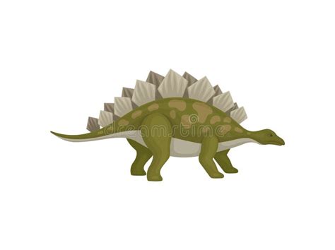 Illustratie Van Groene Stegosaurus Dinosaurus Met Stekels Op Rug Dier