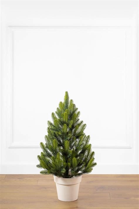 ᐉ Ялинка лита Sg Лапландська у горщику весняна 0 70 м • Краща ціна в Києві Україні • Купити в