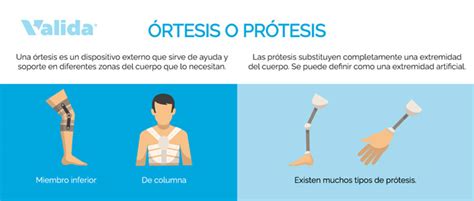 ¿qué Son Las órtesis Y Qué Tipos Existen Valida
