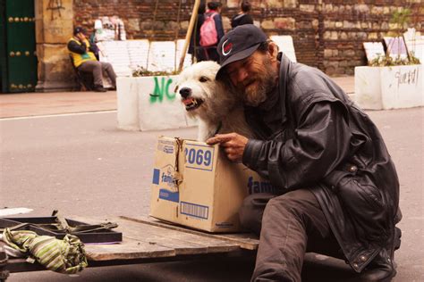 Habitantes De Calle Bogotá Cómo Vamos
