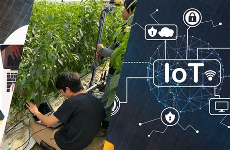 농업발전에 필수적 Iot 엔지니어 청창농 新 일자리 창출 가능