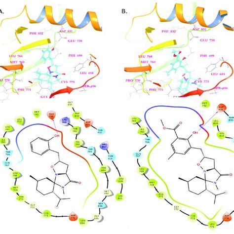 Binding Interaction Of Compounds 2f A And 2g B In The Atp Binding