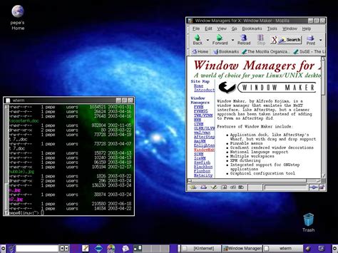 Window Managers For X Metacity