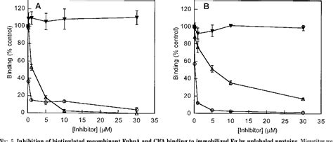 Figure 5 From The Fibronectin Binding Mscramm Fnbpa Ofstaphylococcus Aureus Is A Bifunctional