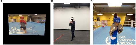 Frontiers Exploring The Effects Of 3d 360°vr And 2d Viewing Modes On