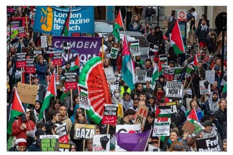 فاكهة البطيخ كيف أصبحت رمزًا للتضامن مع القضية الفلسطينية