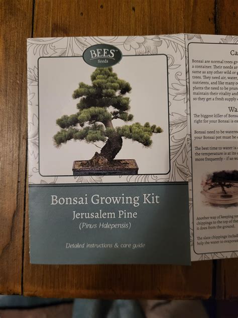 Bonsai Growing Kit R Plants