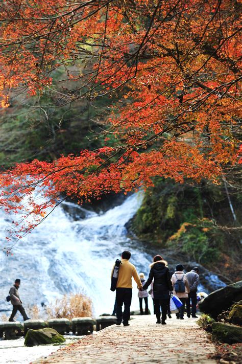 全国紅葉の絶景最後まで楽しめる本州一遅い紅葉千葉県の紅葉人気スポット ガジェット通信 GetNews