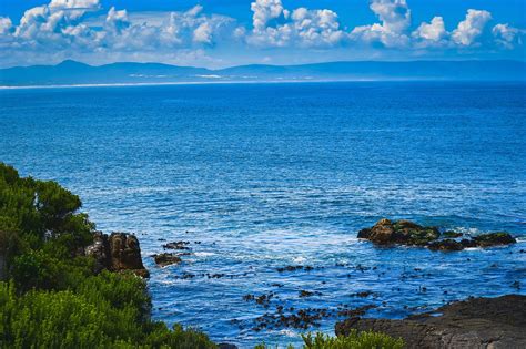 4개 이상 무료 Hermanus 및 남아프리카 공화국 사진 Pixabay
