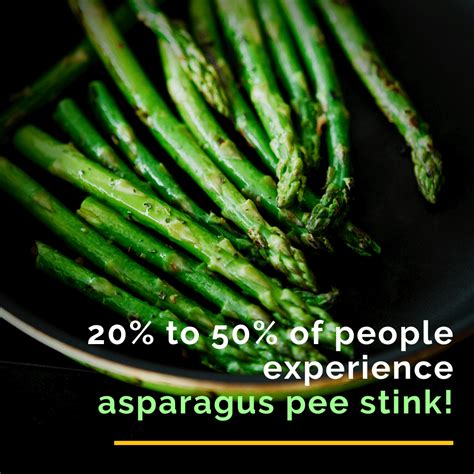 Why Does Asparagus Make Your Pee Smell