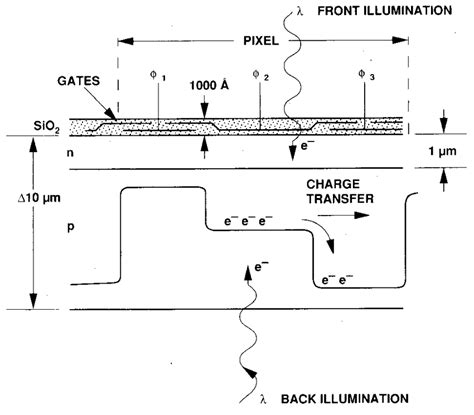 A Cross Section Comparing Front Illuminated And Back Thinned Ccd