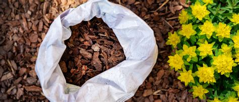 Цветен мулч Какво да знаем при избор за градината