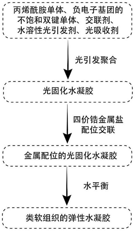 Soft Tissue Like Elastic Hydrogel And Preparation Method And