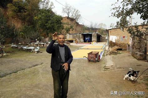 养蜜蜂赚钱吗得需要多少成本养蜜蜂一年能赚百万 一恒网销学
