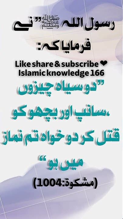 سانپ اور بچھو ‼️😳 Islamicstatus Myblooper Kalima Urduhadees Qalb