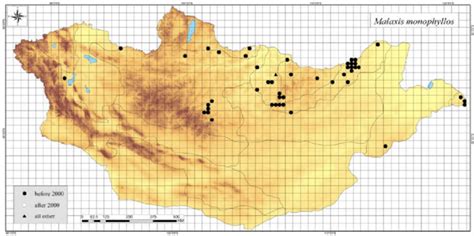 Figure A18 Distribution Map Of Malaxis Monophyllos In Mongolia