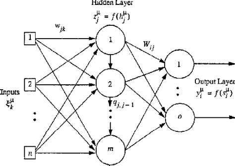 Terminology What Is Meant By Lateral Connection In The Context Of