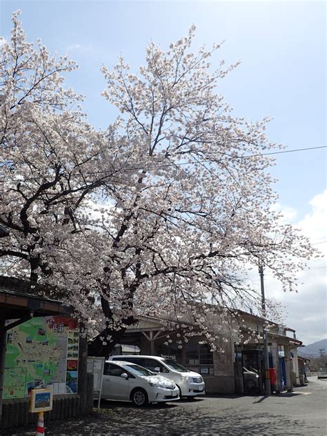 こたろう on Twitter 北桜通りを歩き終え大きな桜の木がある秩父鉄道野上駅からもと都営三田線の車両で長瀞駅へ折り返しところで