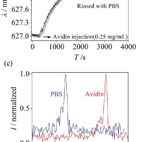 Label Free Detection Of Avidin Biotin Interaction A Chemical