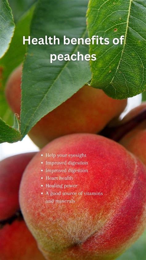 Health Benefits Of Peaches Food Health Benefits Healthy Snacks