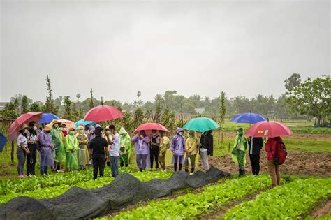 Video Gallery Green Farmers Siem Reap