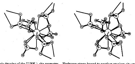 Figure 2 From 14 Coordinate Uraniumiv The Structure Of Uranium