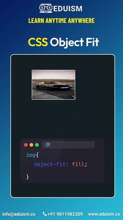 Css Object Fit Css Beginner Js Java Ai Webdeveloper