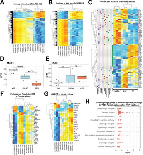 Sex Specific Attenuation Of Photoreceptor Degeneration By Reserpine In A Rhodopsin P23h Rat